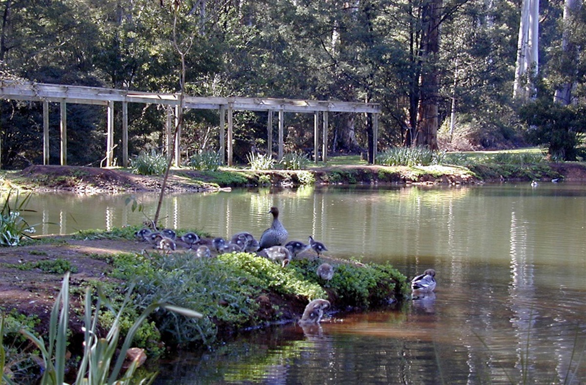 Gallipoli Park - Murrindindi Shire Council