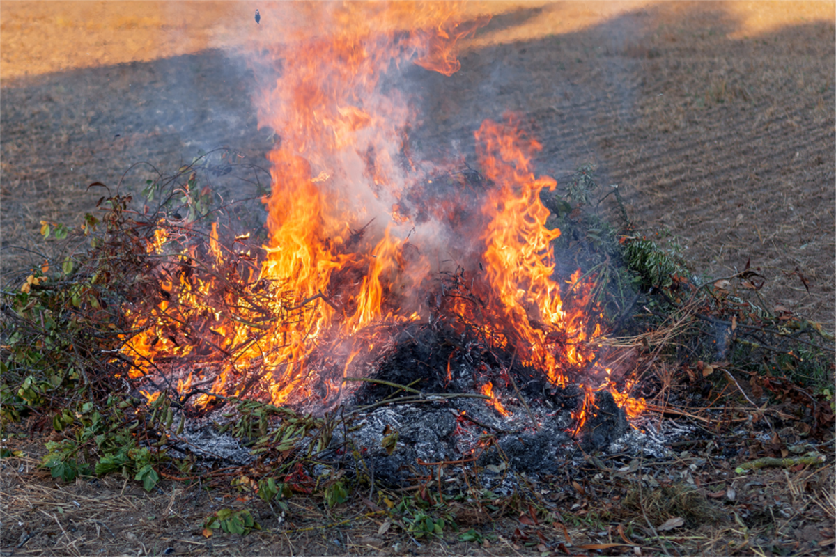 Burning Off - Murrindindi Shire Council