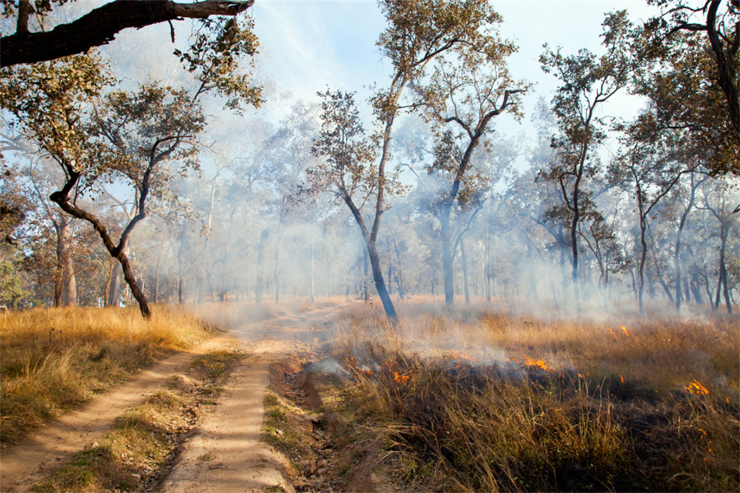 Fire Ratings and Restrictions - Murrindindi Shire Council